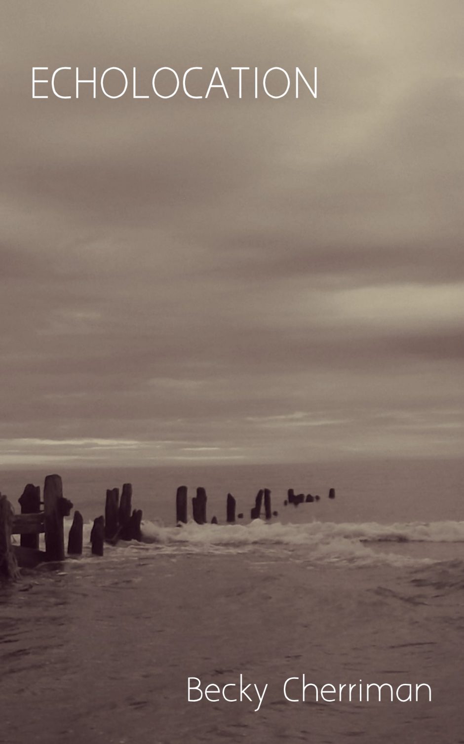 Echolocation - becky cherriman